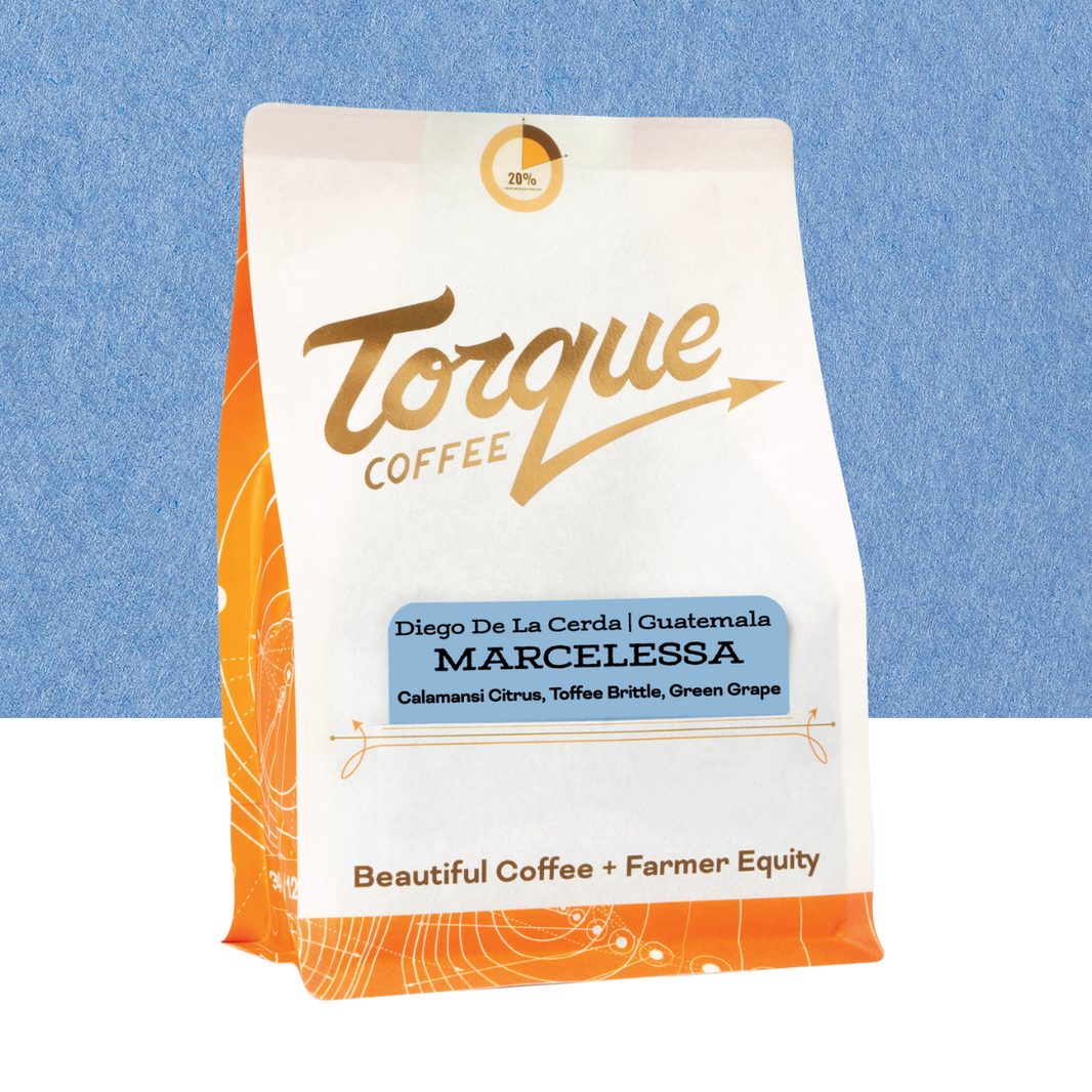 Modern Guide to Coffee Roast Levels | Torque Coffees Light Roast Expertise